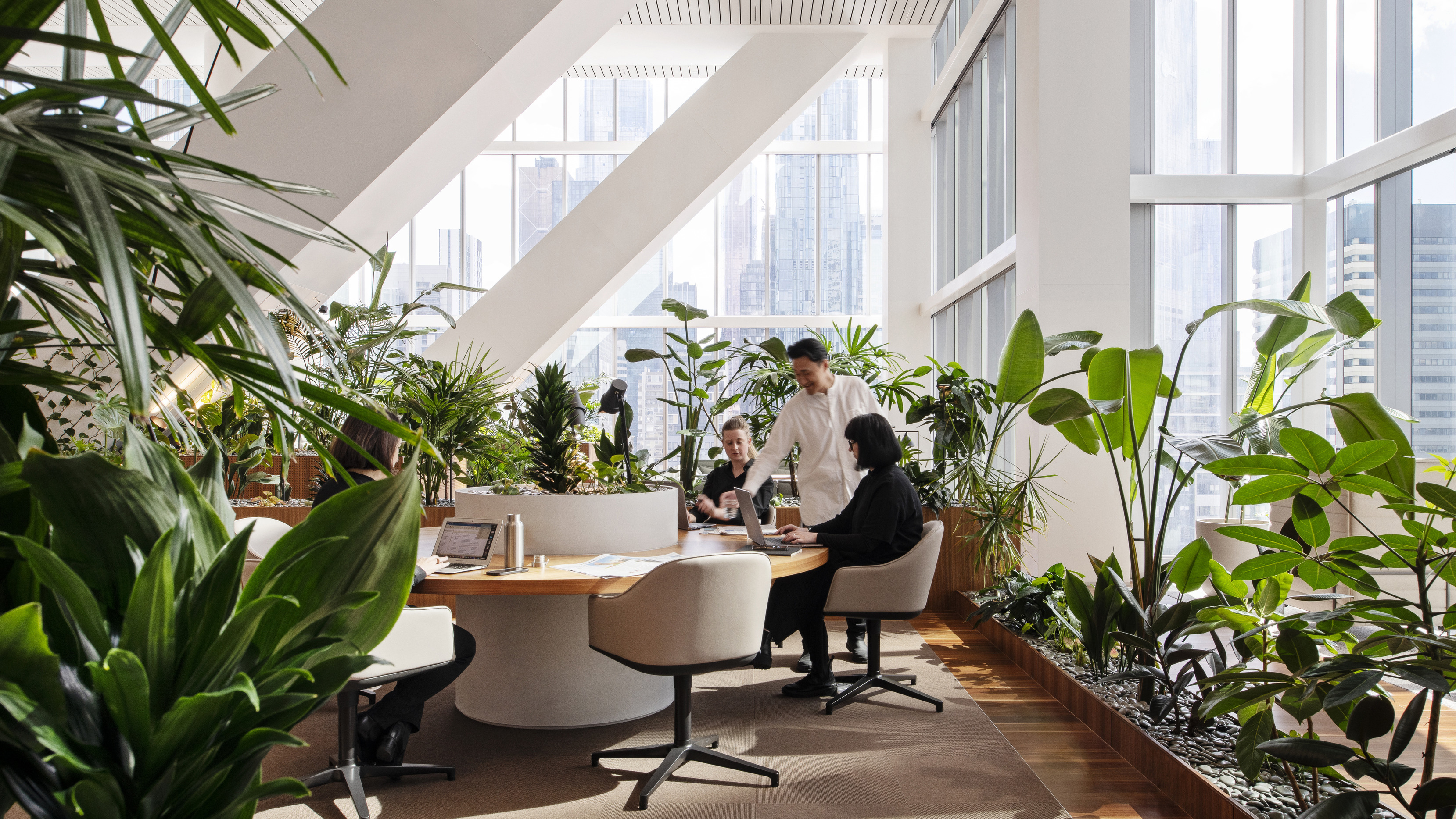 Hassell | Deloitte