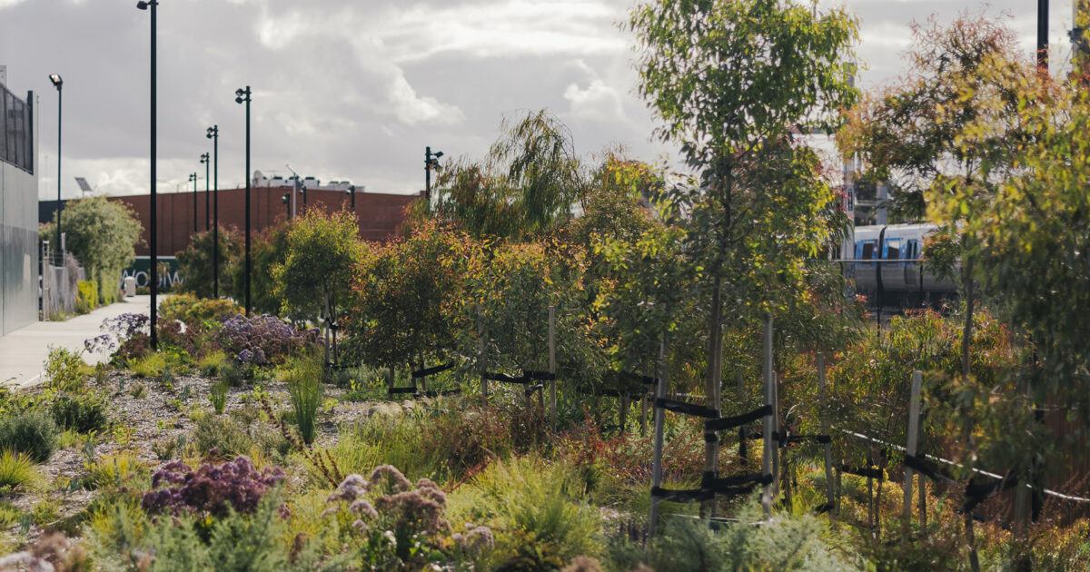 Hassell | Level Crossing Removal Project (LXRP)