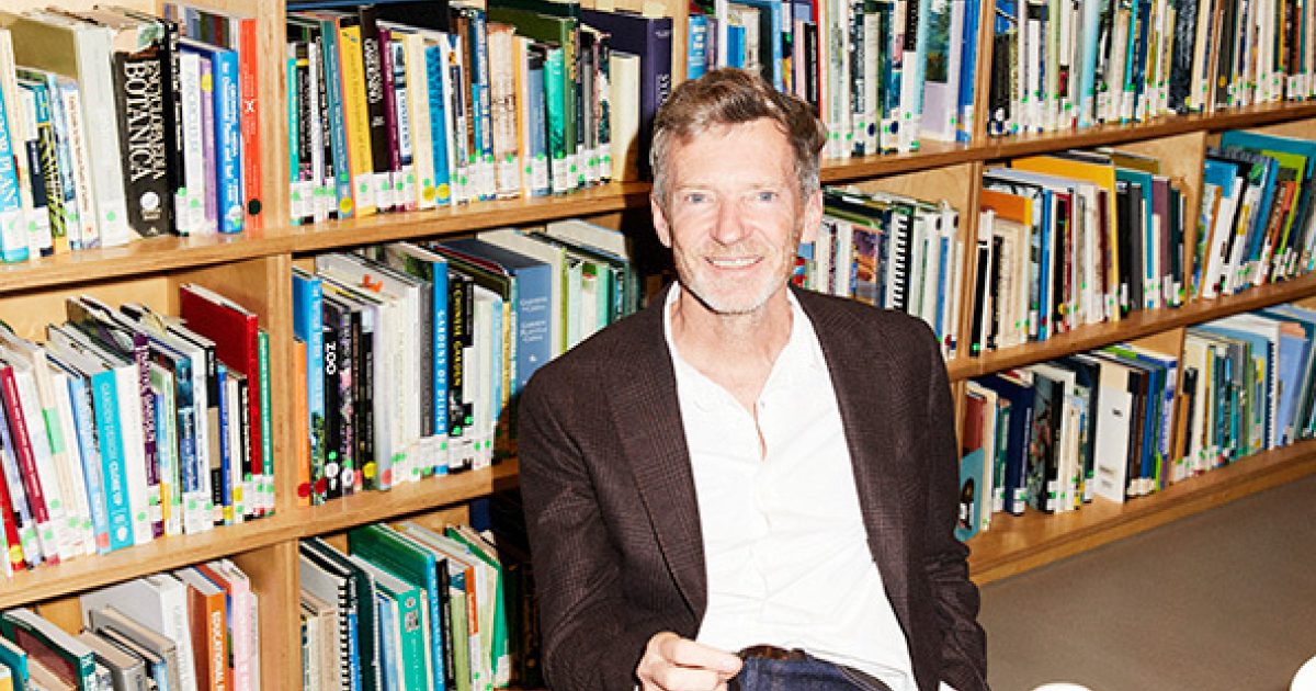 Hassell | David Whittaker