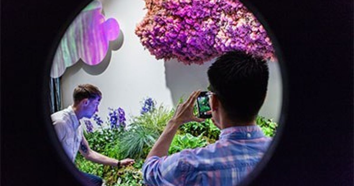 Hassell | Sensorium, Clerkenwell Design Week