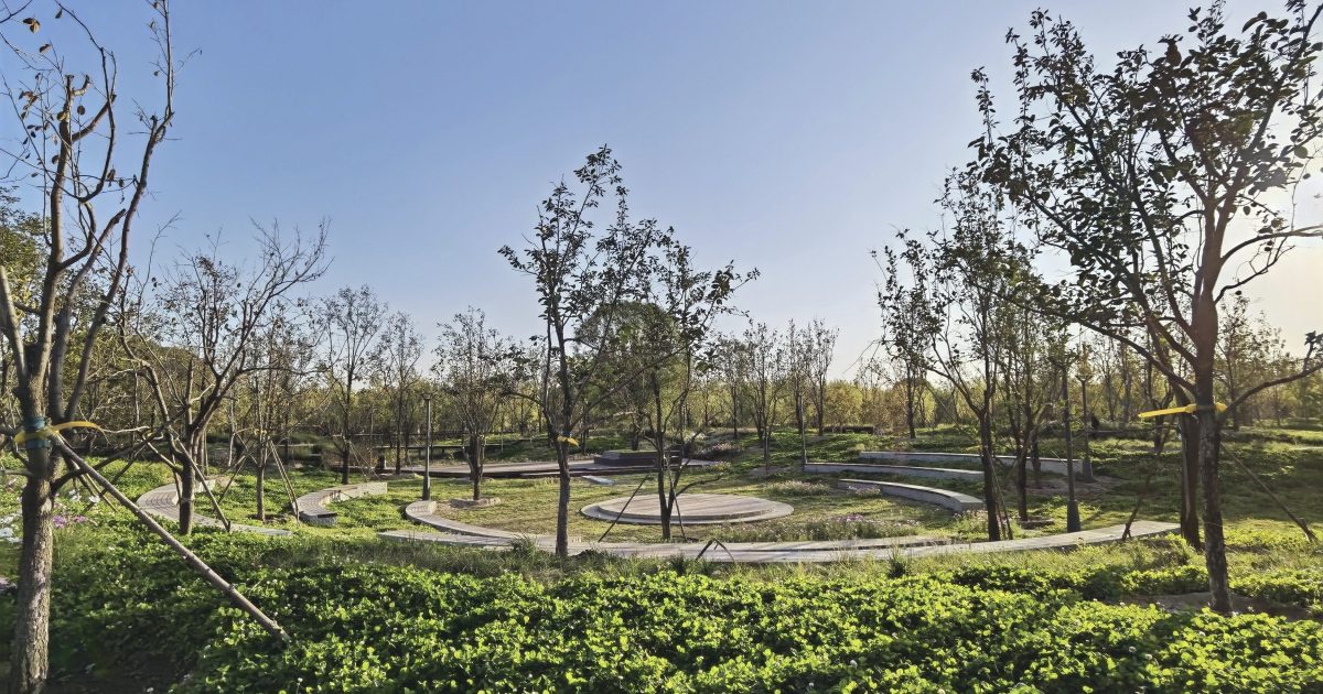 Hassell | Central Green Forest Park
