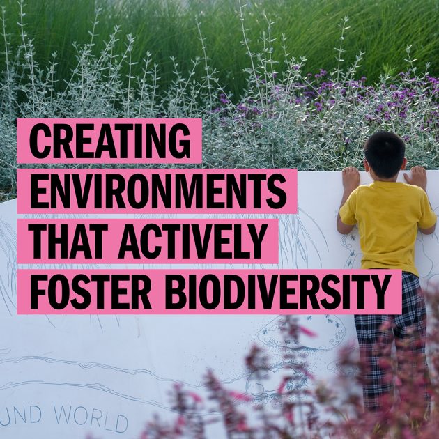 Hassell | Inside Hassell’s commitment to biodiversity-driven design